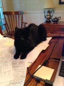 Herding Cats – Some Thoughts from a Project Manager - mobilePLUS